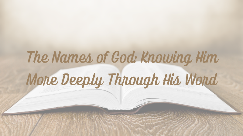 The Names of God: Knowing Him More Deeply Through His Word – Dawn Zauner
